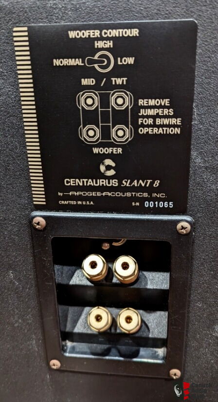 Apogee Slant 8 Centaurus ribbon hybrid speakers Photo #4695988 - Canuck ...