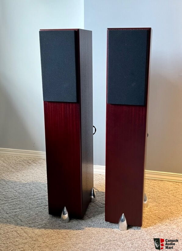 Totem Hawk Tower Speakers For Sale For Sale - UK Audio Mart