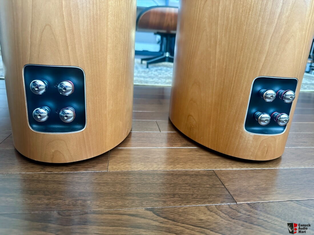 B&W 804 Diamond D2 Bowers & Wilkins Photo #4709256 - Canuck Audio Mart