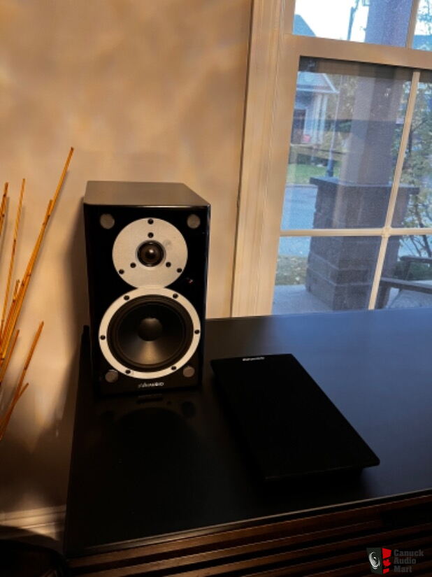 Dynaudio Wireless speakers & Matrix streamer/DAC Photo #4715486 ...