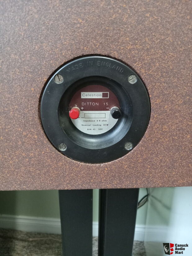 Celestion Ditton 15s Photo #4718682 - US Audio Mart