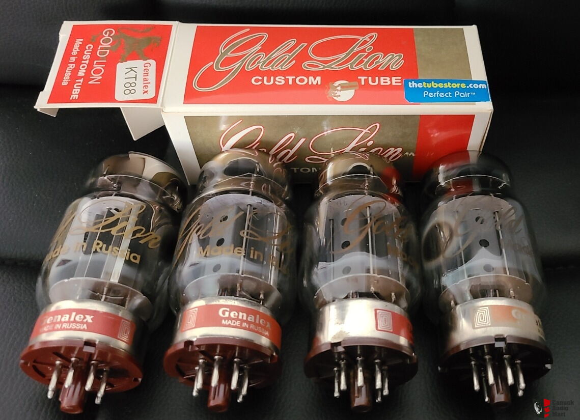 Gold Lion KT88 Photo #4731057 - Canuck Audio Mart