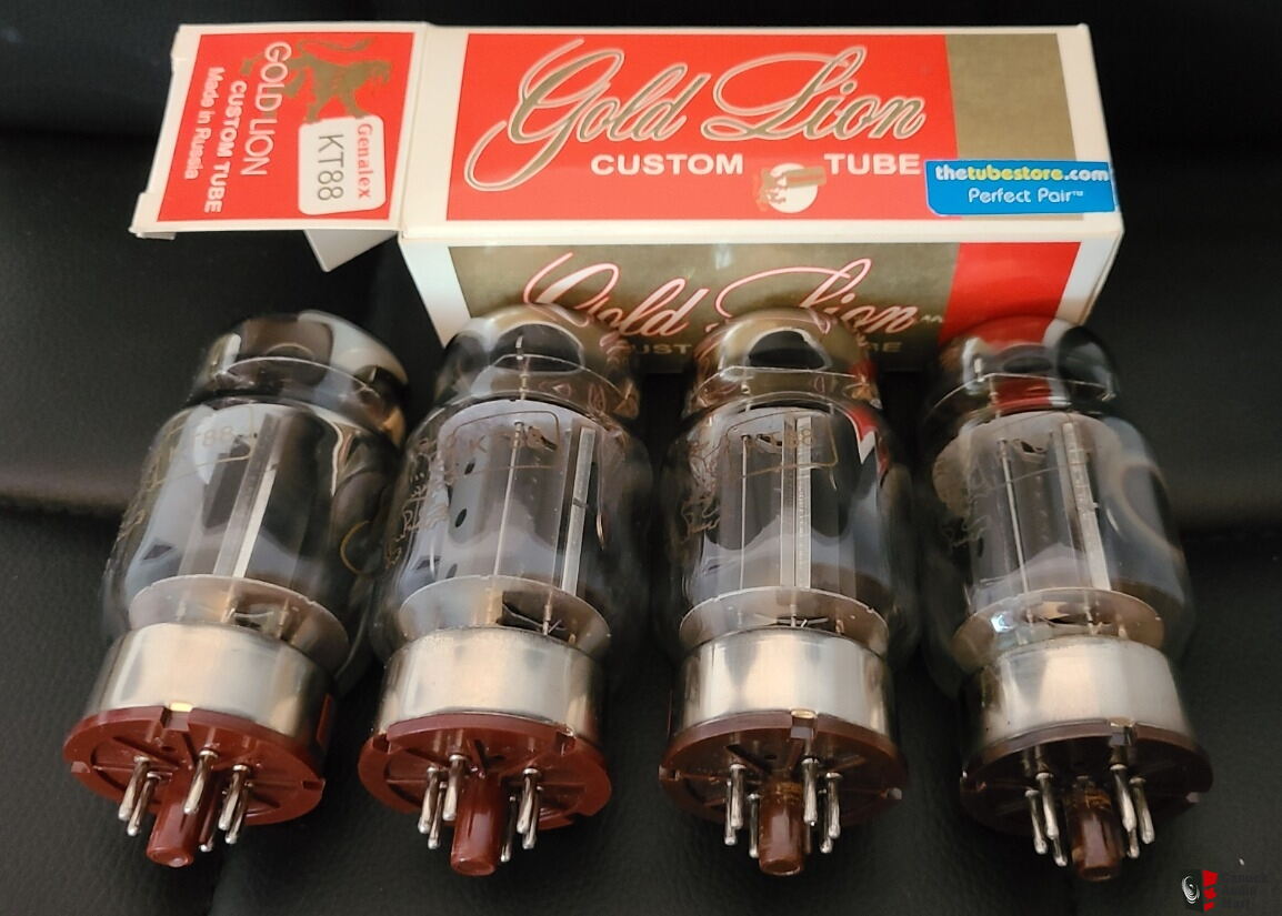 Gold Lion KT88 Photo #4731058 - Canuck Audio Mart