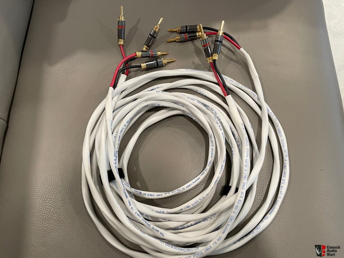 Blue Jeans Speaker Cables 15ft PAIR For Sale - US Audio Mart