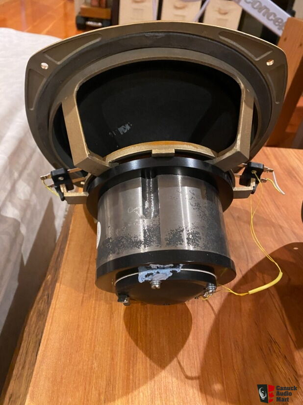 Tannoy se drivers kensington 10 inch Photo #4733263 - Canuck Audio Mart