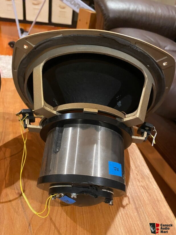 Tannoy se drivers kensington 10 inch Photo #4733263 - Canuck Audio Mart