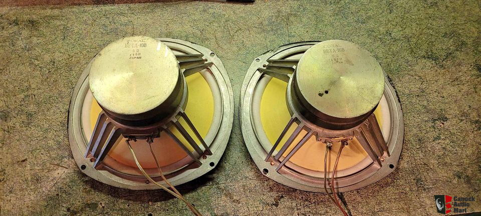 Coral Beta 10, the best full range 10in speakers Photo #4736417 ...