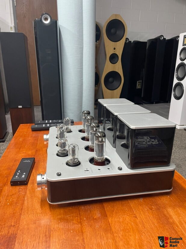 Willsenton R8 tube integrated amp Photo #4743478 - US Audio Mart