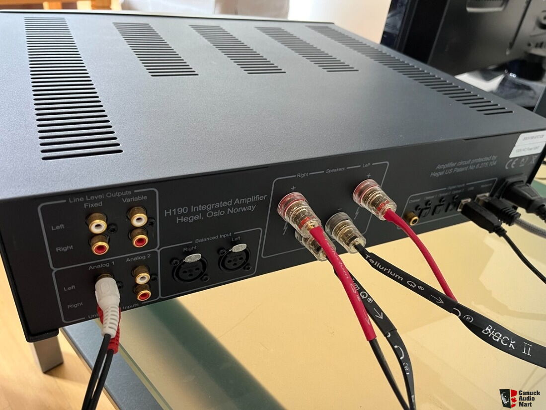 Hegel H190 Integrated Amplifier, DAC and Streamer with Speaker Cables ...