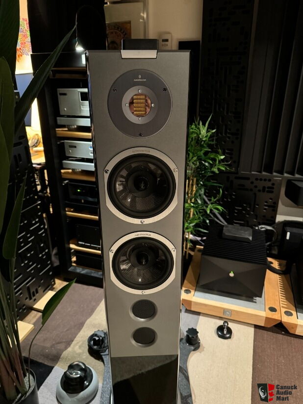 Audio Vector R6 Arrete Piano Black Photo #4755682 - Canuck Audio Mart