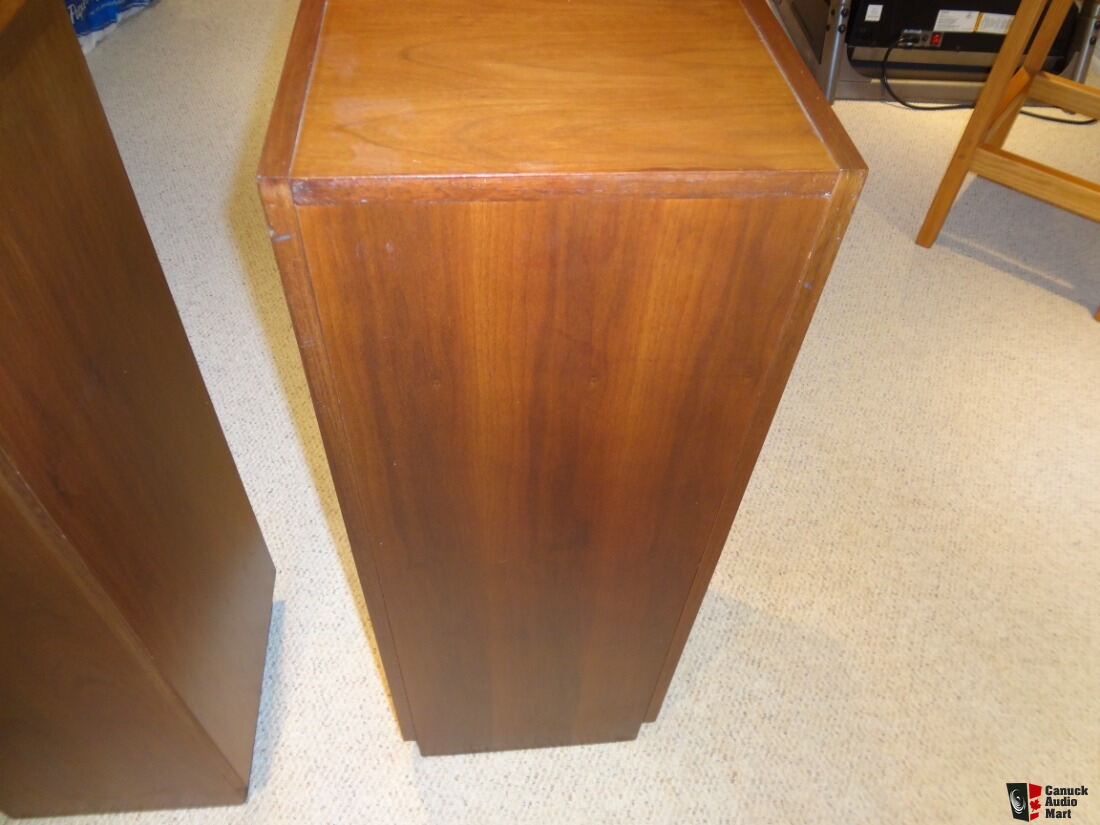 Optimus T100 Tower Speakers Photo #4758585 - US Audio Mart