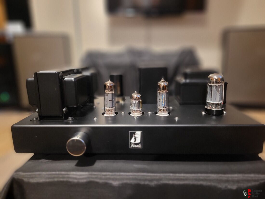 Finale Audio F138FFX Integrated Tube Amp (EL84) Photo #4761109 - US ...