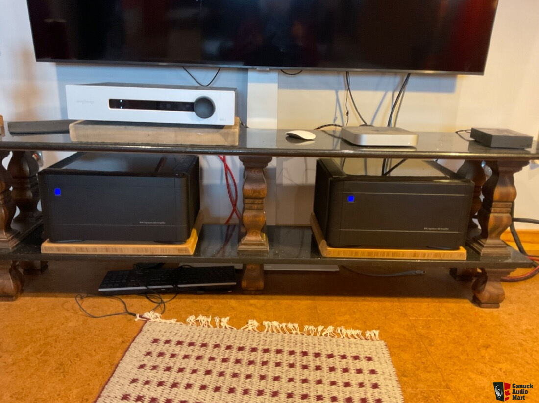 PS Audio BHK mono blocks Photo #4762306 - US Audio Mart