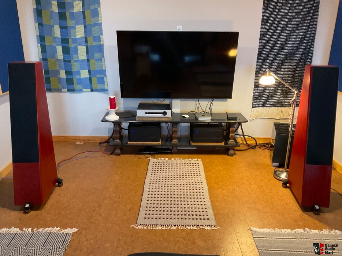 PS Audio BHK mono blocks Photo #4762306 - US Audio Mart