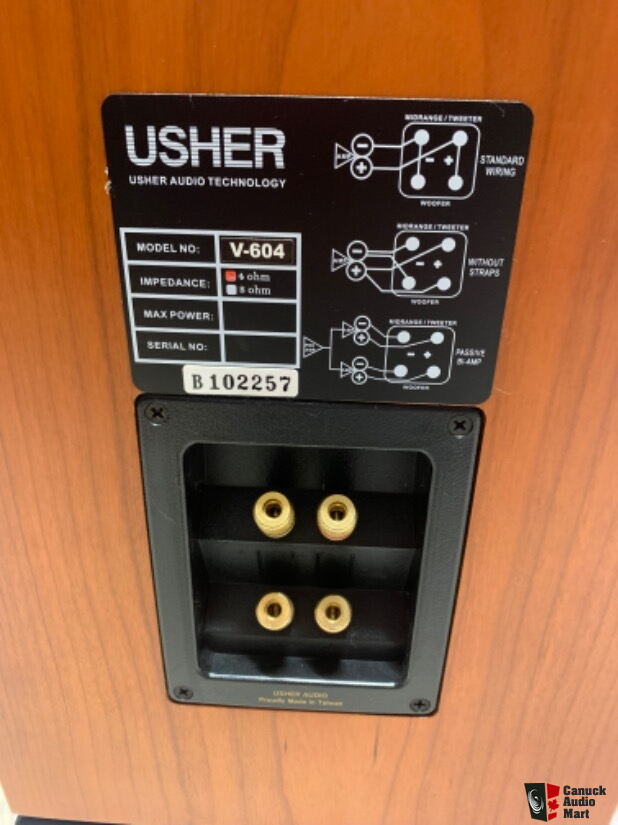 Usher V604 Floor Standing Speakers Photo #4764027 - US Audio Mart