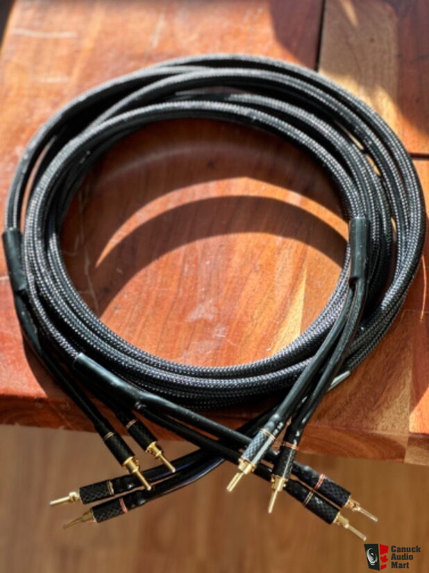 Mogami Legendary W3104 Custom Fabricated Cryo Treated High-End Speaker ...