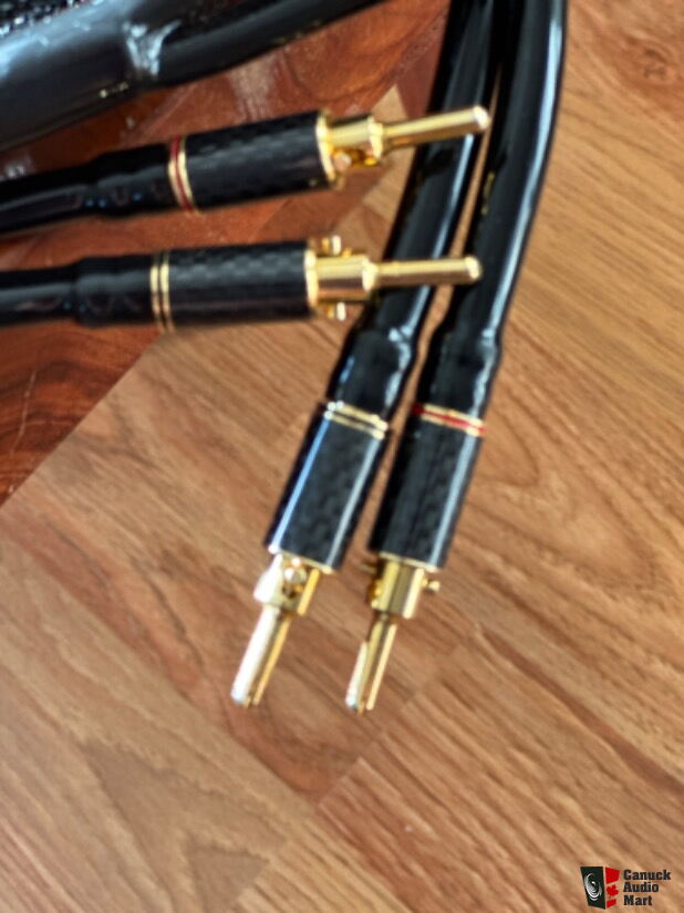 Mogami Legendary W3104 Custom Fabricated Cryo Treated High-End Speaker ...