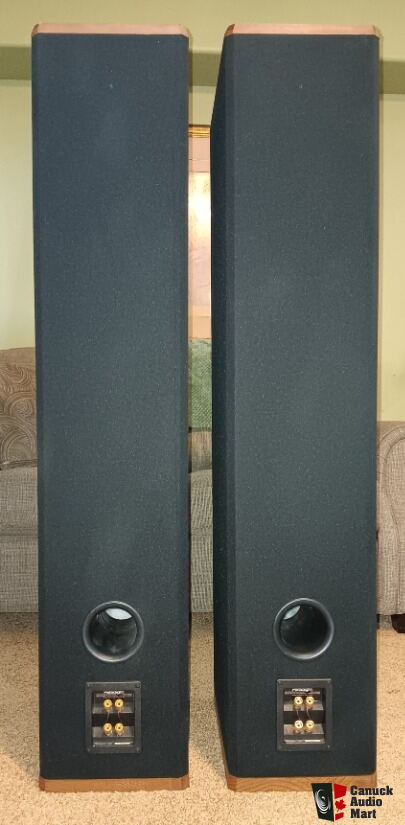 Paradigm Eclipse BP/a Floor Standing Speakers Photo #4769323 - Canuck ...