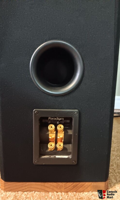 Paradigm Eclipse BP/a Floor Standing Speakers Photo #4769323 - US Audio ...