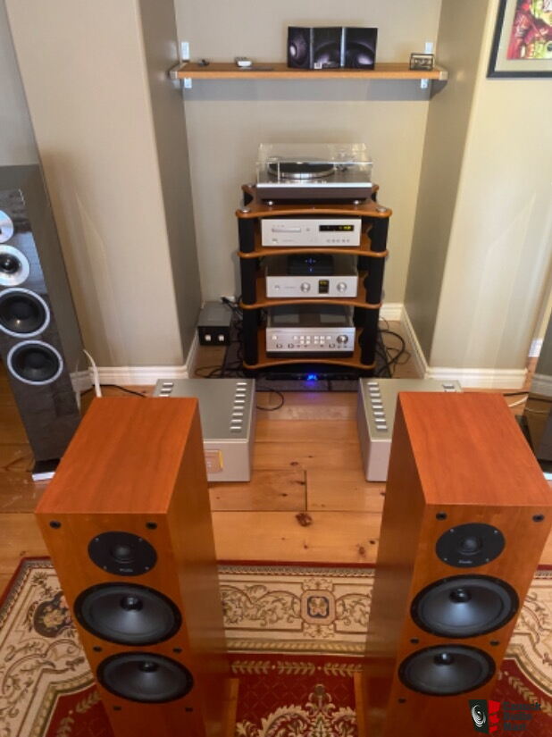 Proac Studio 140 MK II Photo #4771226 - Canuck Audio Mart