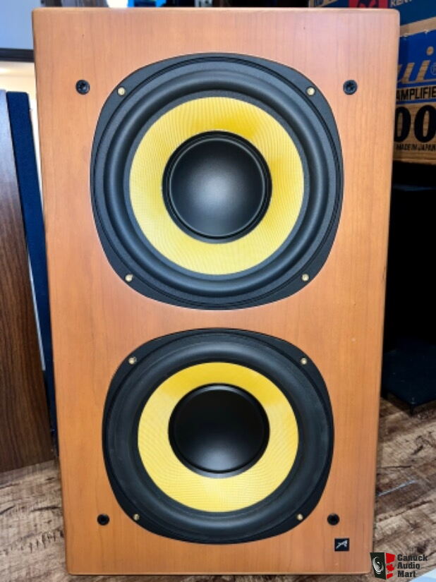 ANGSTROM Profondo P Renaissance Edition passive dual 10" Sub Made in ...