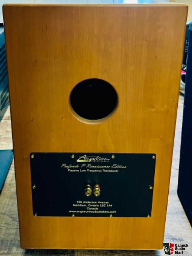 ANGSTROM Profondo P Renaissance Edition passive dual 10" Sub Made in ...