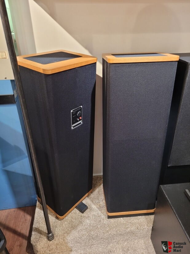 Vandersteen Model 1C Spkrs, w/Sound Anchor Stands: Excellent Trade-In ...
