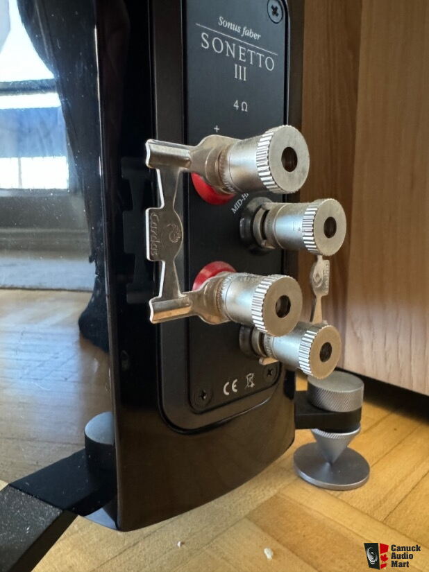 Sonus Faber Sonetto III Photo #4776299 - Canuck Audio Mart