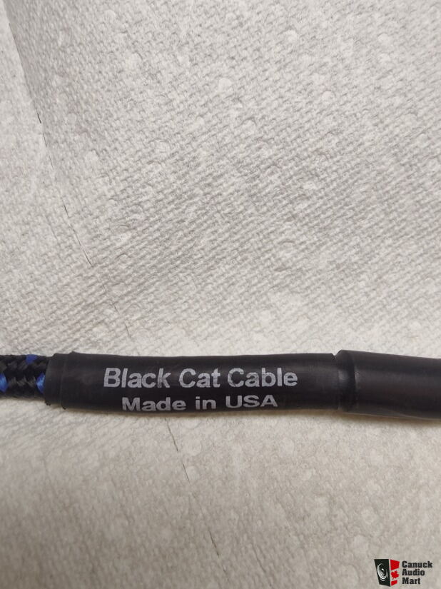 Black Cat RCA cable pair lowered price For Sale - Canuck Audio Mart