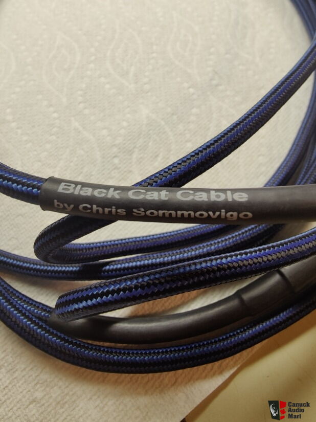 Black Cat cable Photo #4782482 - Canuck Audio Mart