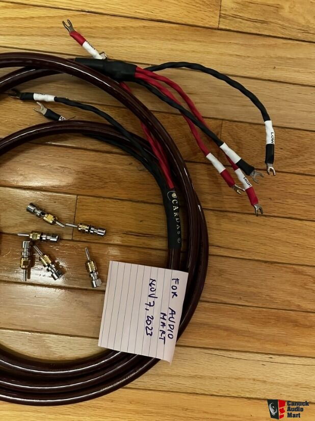 Cardas Golden Cross speaker cables - Biwire configuration with 1/4 ...