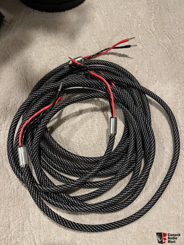 Raven Audio Soniquil Audiophile Speaker Cable 6M For Sale - UK Audio Mart