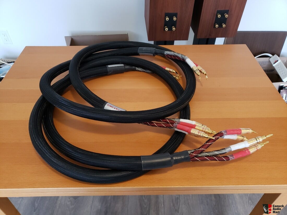 Pair of Power Pro Audio Bi-Wire Speaker Cables - 8 ft long for Sale For ...
