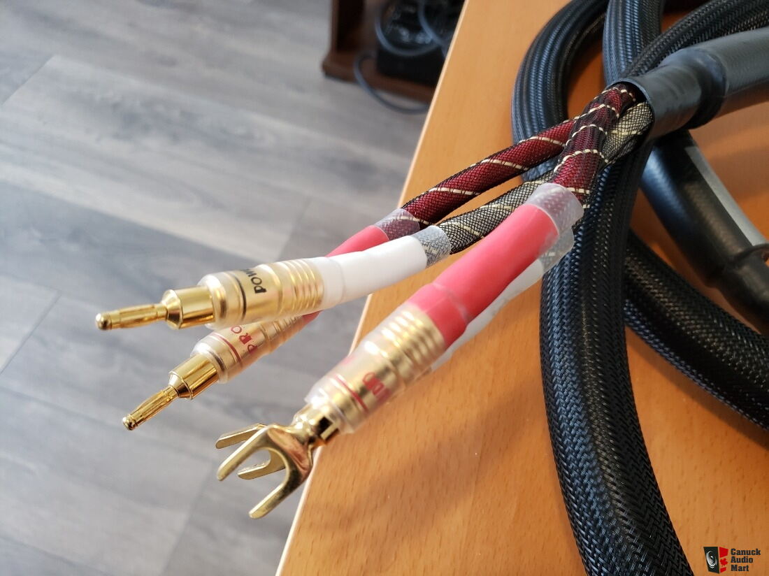 Pair of Power Pro Audio Bi-Wire Speaker Cables - 8 ft long for Sale ...
