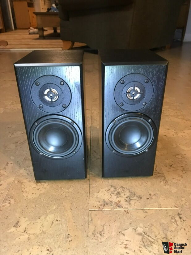 Totem Acoustics Dream Catcher speakers (matching pair) Photo #4789888 ...