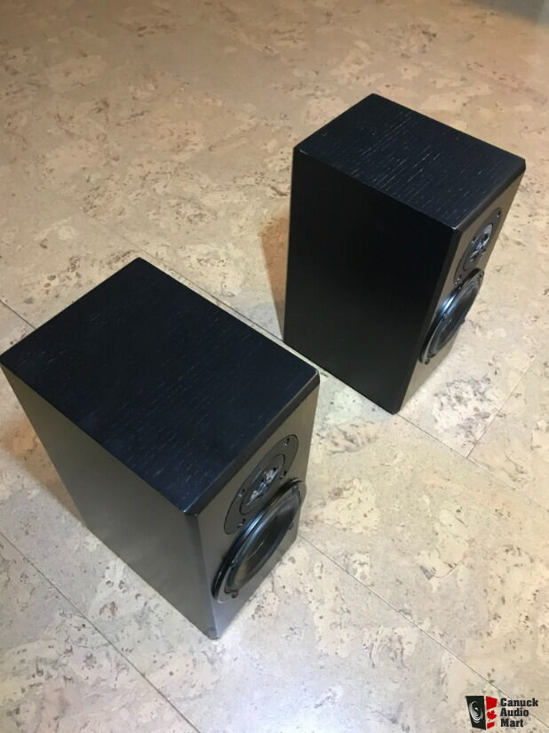 Totem Acoustics Dream Catcher speakers (matching pair)