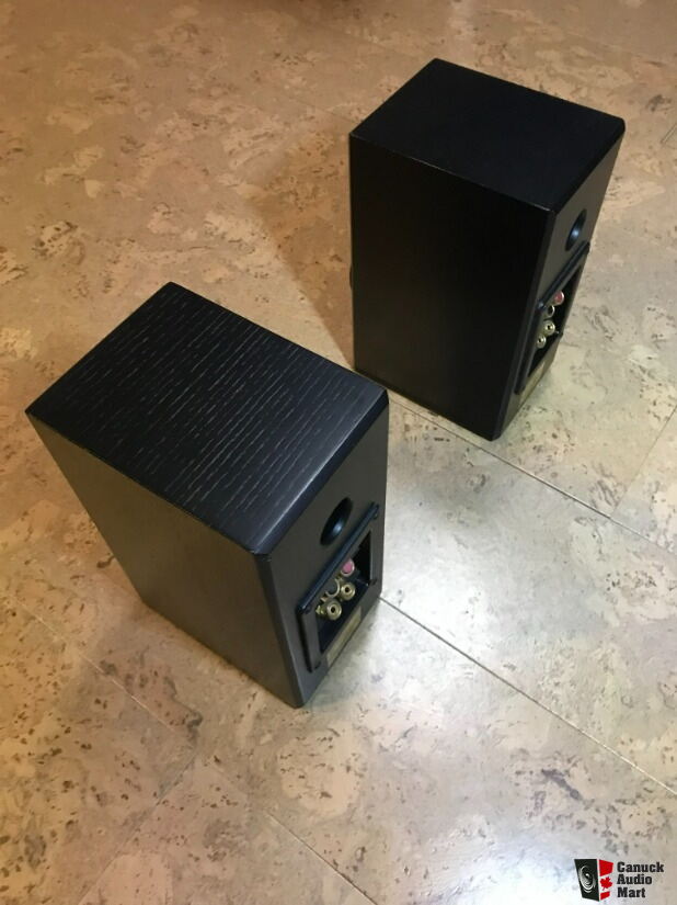 Totem Acoustics Dream Catcher speakers (matching pair) Photo #4789894 ...