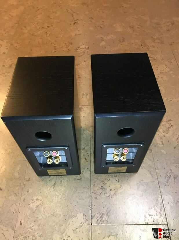 Totem Acoustics Dream Catcher speakers (matching pair) Photo #4789891 ...
