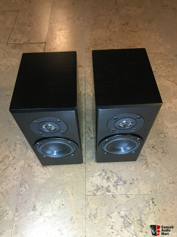 Totem Acoustics Dream Catcher speakers (matching pair) Photo #4789892 ...