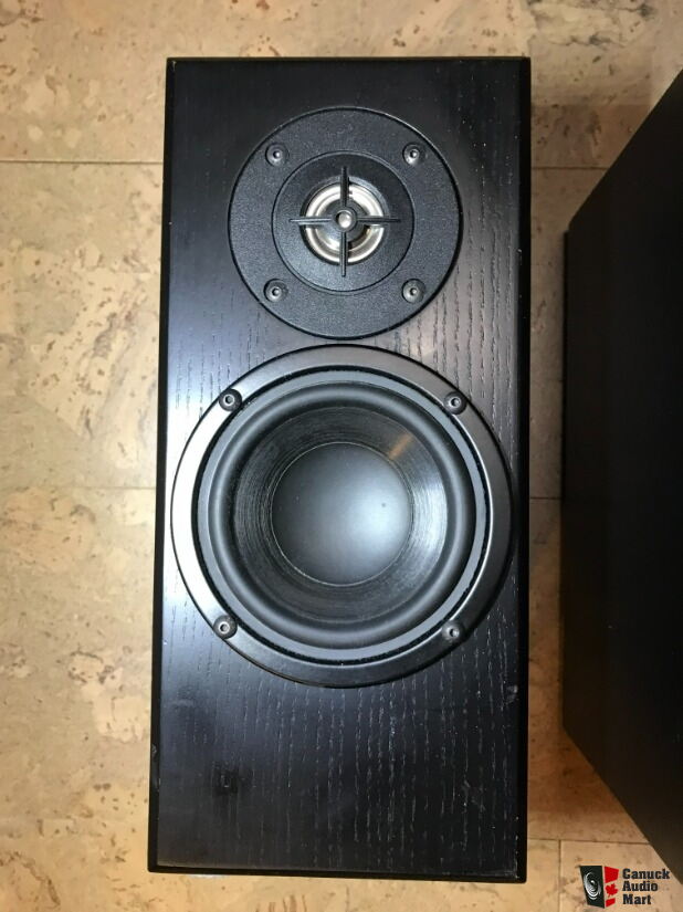 Totem Acoustics Dream Catcher speakers (matching pair) Photo #4789894 ...
