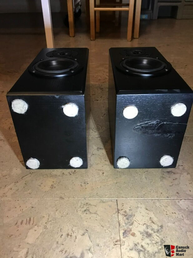 Totem Acoustics Dream Catcher speakers (matching pair) Photo #4789894 ...