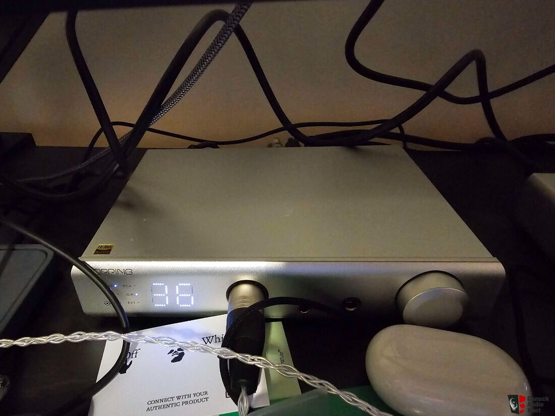 Hifiman Arya Stealth Magnet + Topping A90D For Sale - US Audio Mart