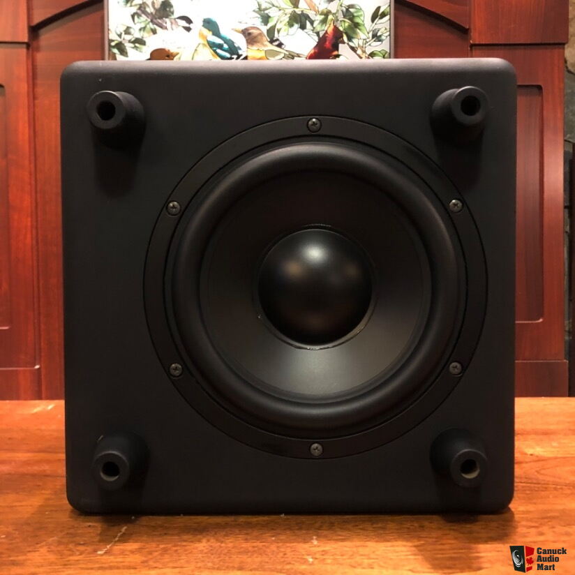 Focal CUB 2 Subwoofer Photo #4793321 - US Audio Mart