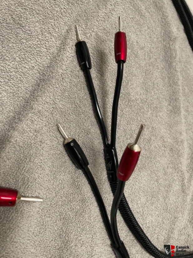Audioquest Rocket 44 Single to Bi-Wire with Silver 500 Series Banana 2 ...