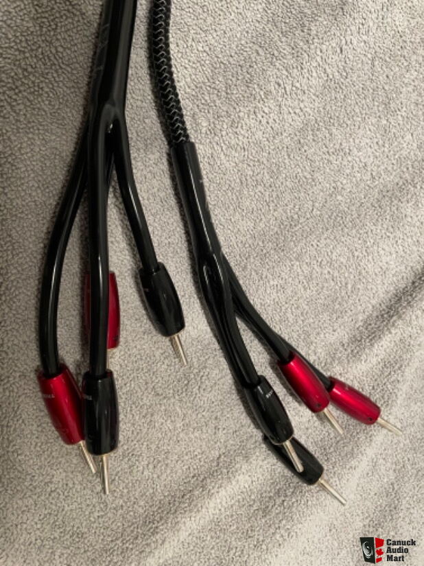 Audioquest Rocket 44 Single to Bi-Wire with Silver 500 Series Banana 2 ...