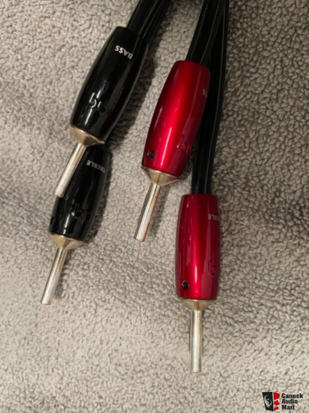 Audioquest Rocket 44 Single to Bi-Wire with Silver 500 Series Banana 2 ...