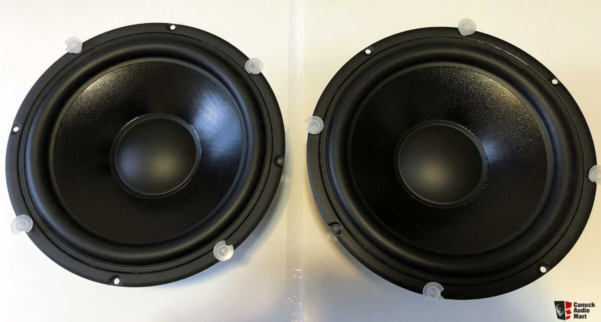 Pair of new Peerless SLS10 subwoofer driver 830668 For Sale - Canuck ...