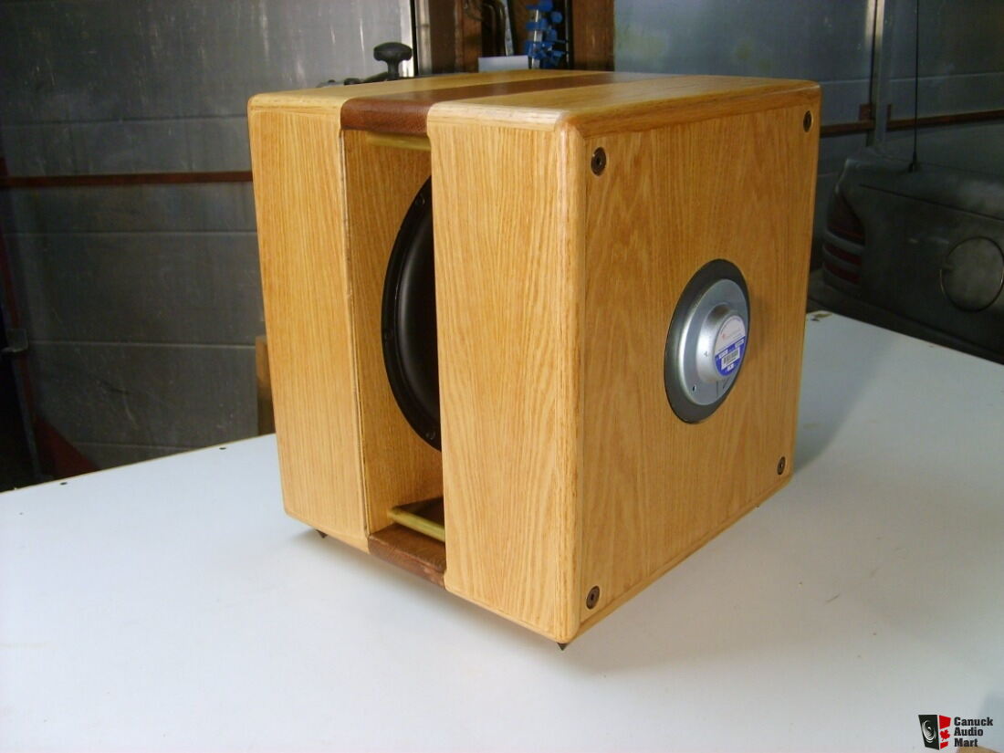 Pending to David Pair of new Peerless SLS10 subwoofer driver 830668 ...