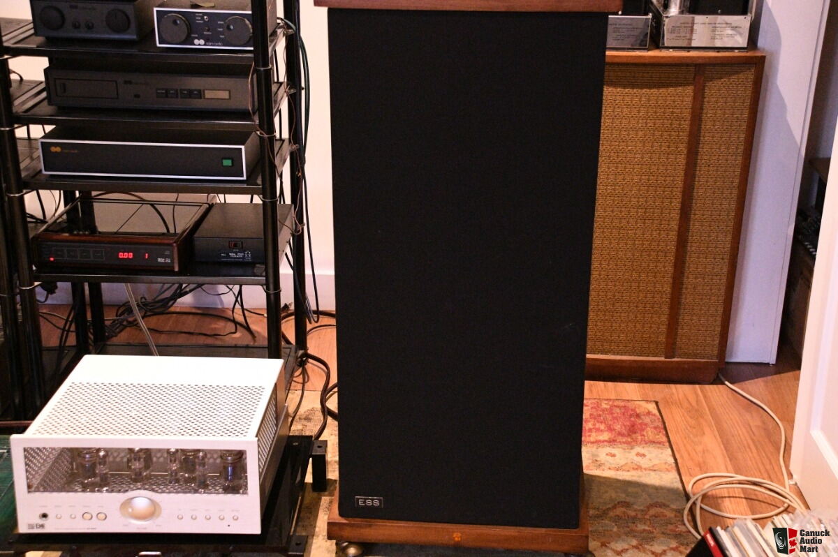 ESS Transtatic 1 beautiful excellent speakers Photo #4807027 - US Audio ...