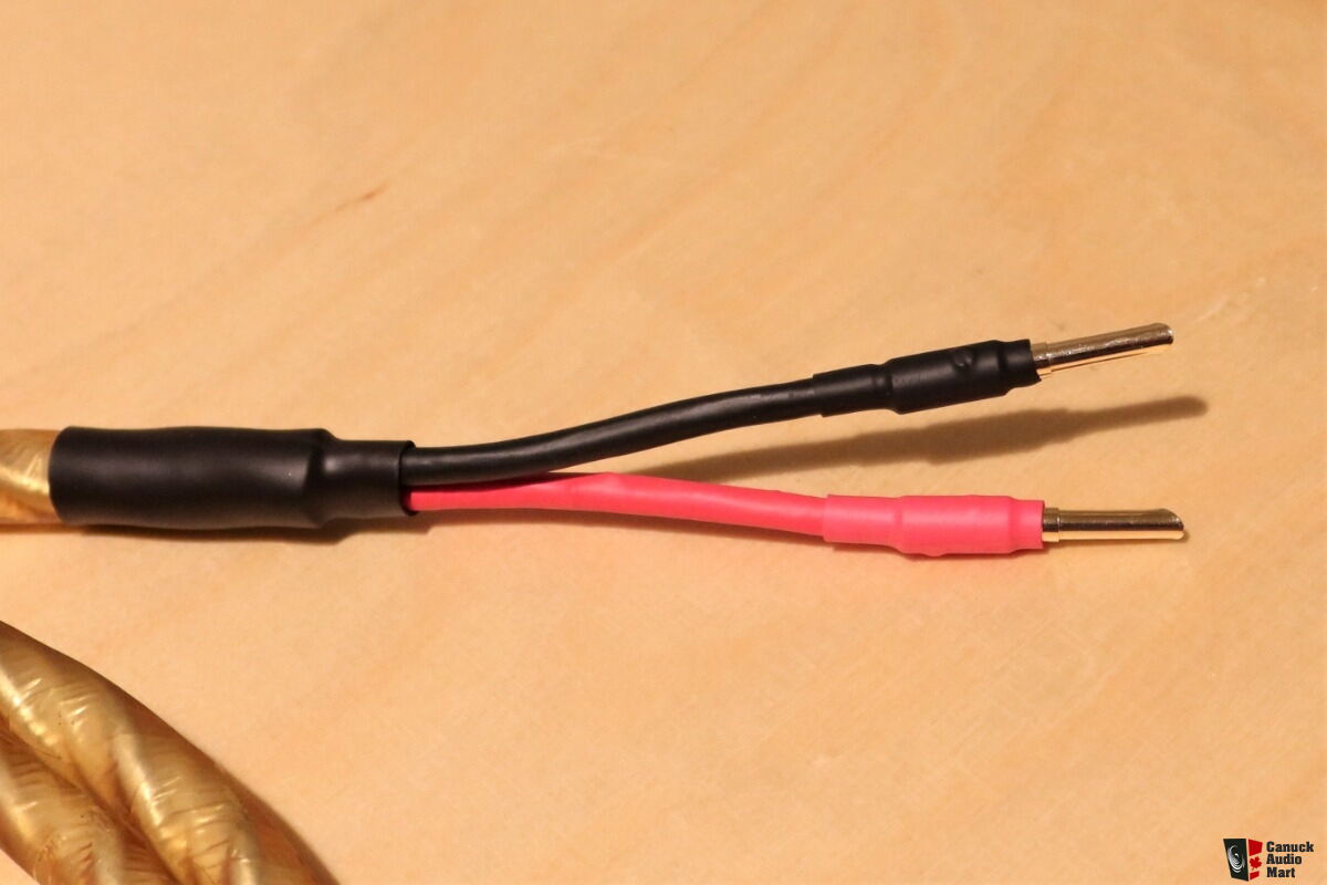 Delta Audio DSC-22 high performance speaker cables (8' pair) - VERY ...